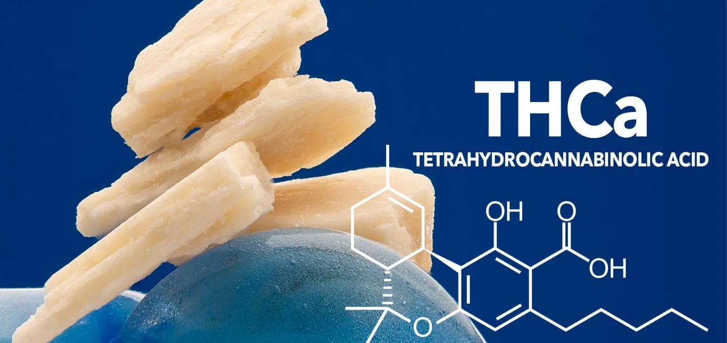 What Is THCA Cannabis Glossary Gaanja Heal What Is THCA Cannabis Glossary Gaanja Heal