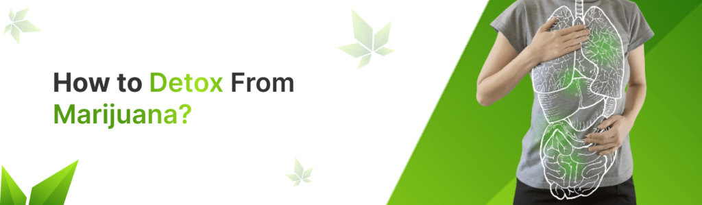 How To Detox From Marijuana? Effective Methods and Tips!