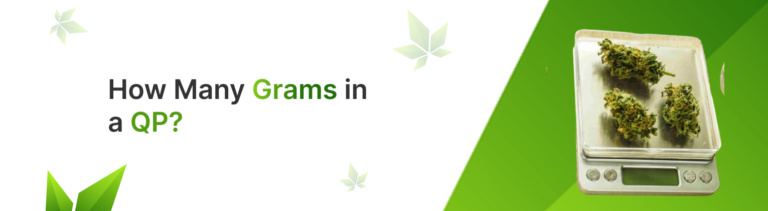 How Many Grams in a QP: Conversions and Explained