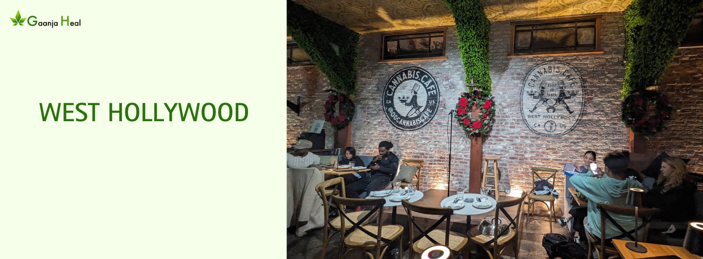 Top 10 Best Cannabis Infused Restaurants in the USA
