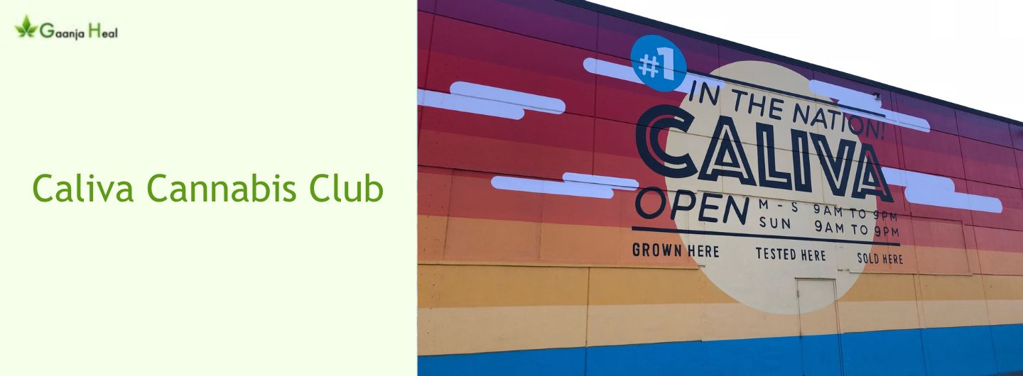 Cannabis Friendly Clubs in Santa Cruz